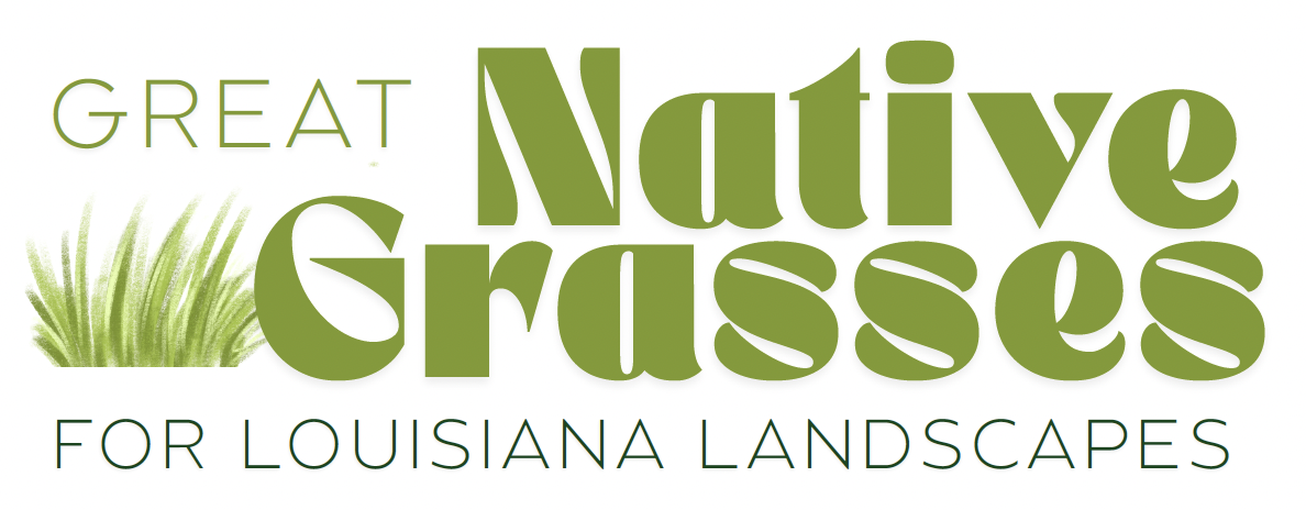 Native Grasses - Wild Ones Greater Baton Rouge Chapter